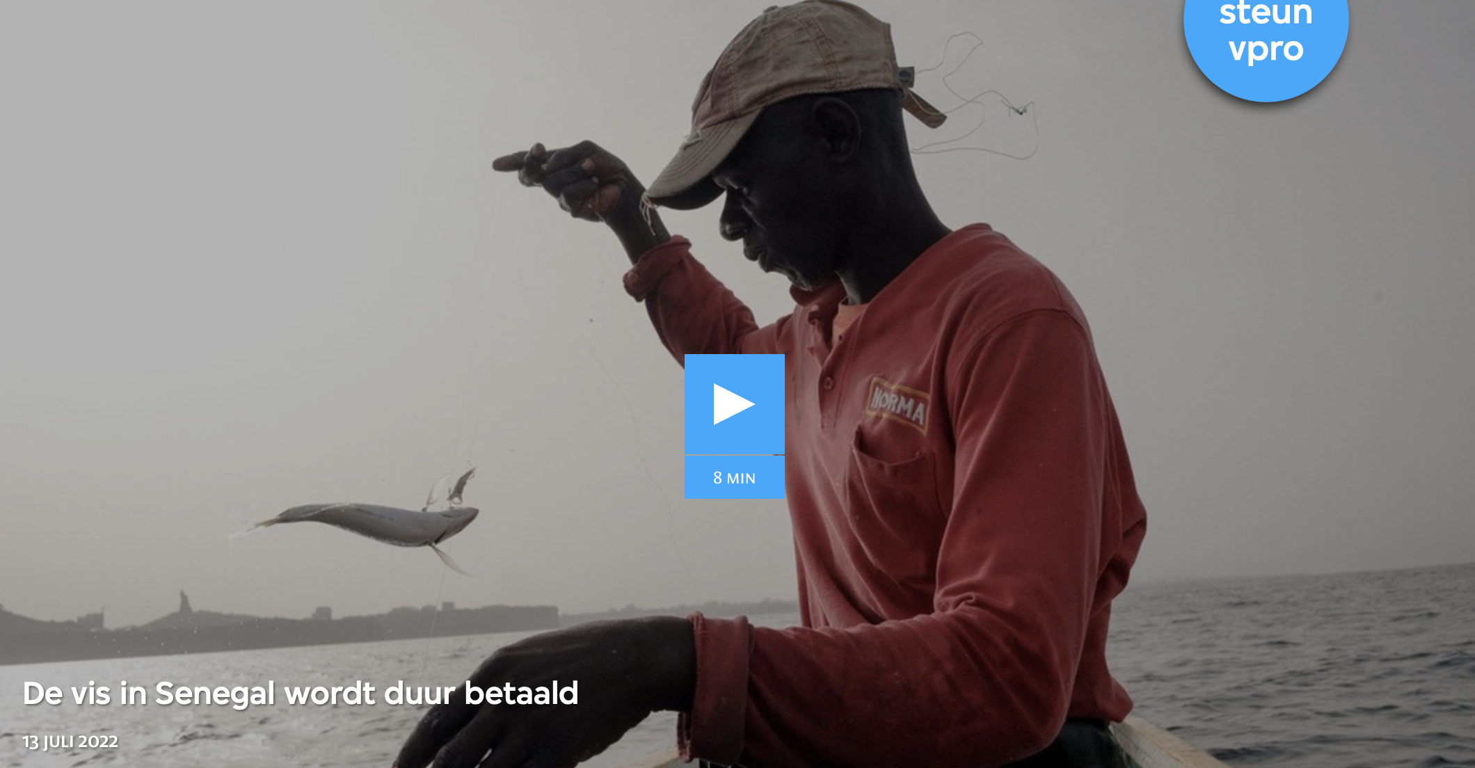 Senegal's waters emptied to feed pigs, chickens and farmed fish in ...